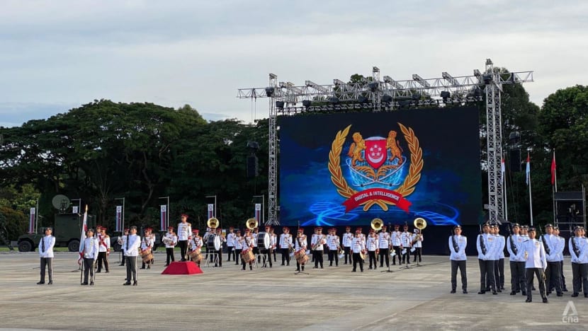 SAF formally establishes Digital and Intelligence Service - CNA